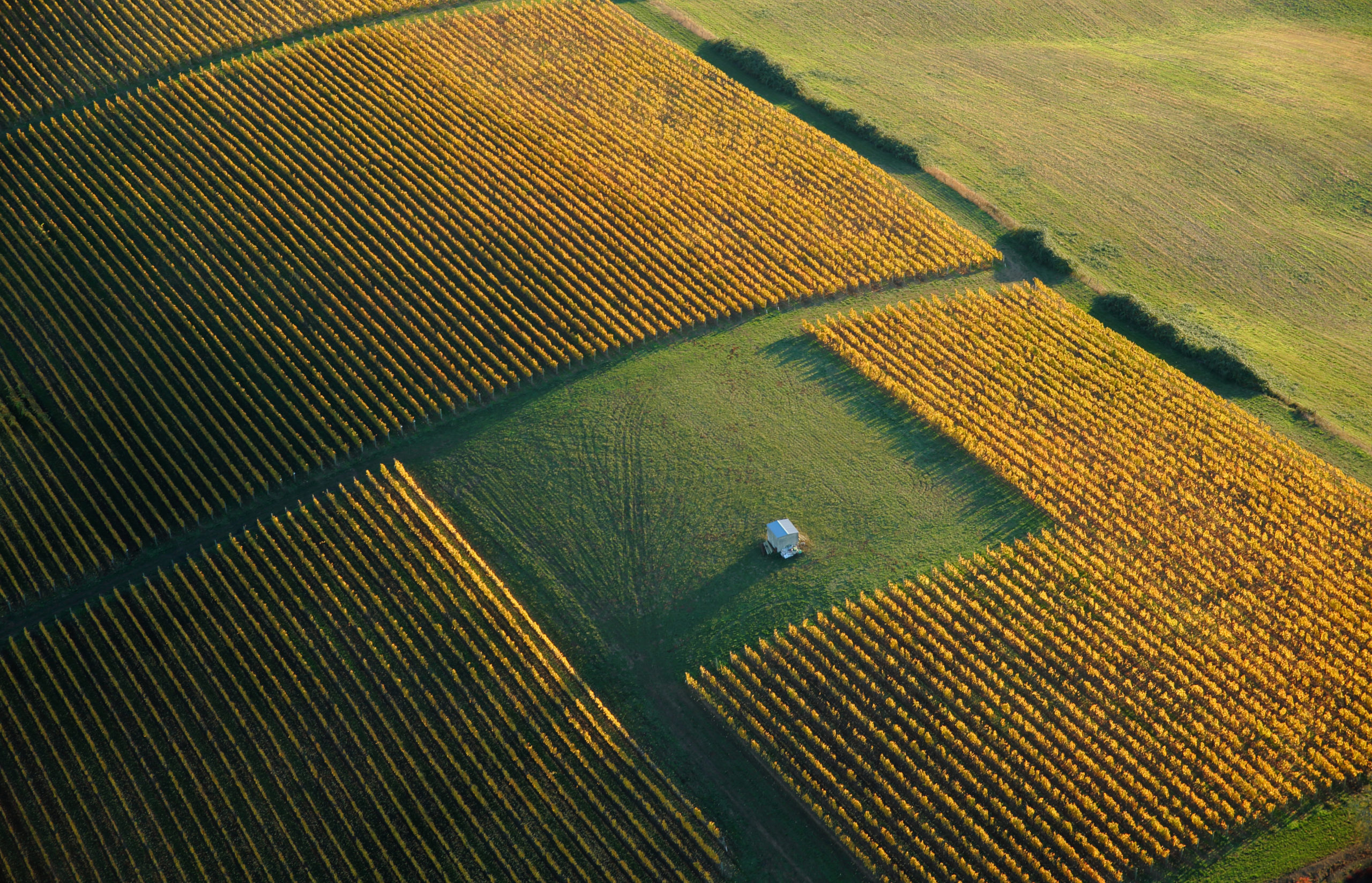 Bountiful | Bountiful Agriculture: Real-Time Analytics and Yield Forecasts